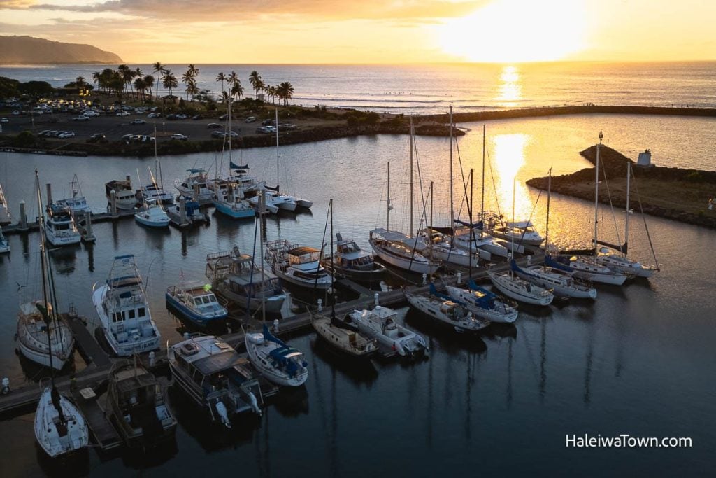 Haleiwa Harbor (Activities & Visitor Guide) - Haleiwa Town