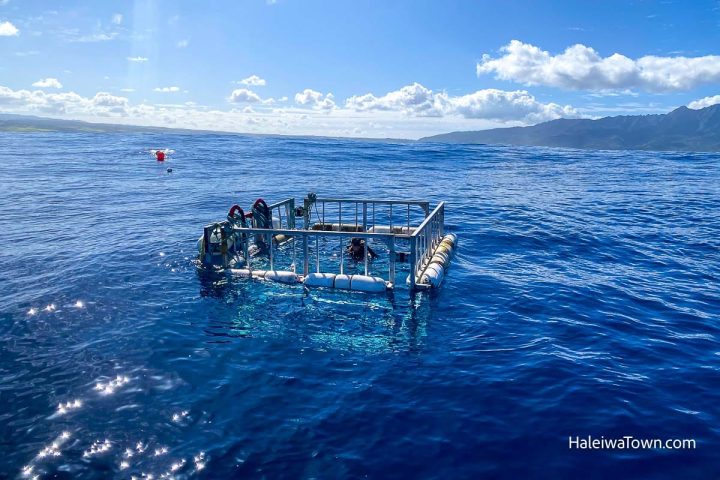 15 Best Things to Do in Haleiwa, Hawaii - Haleiwa Town