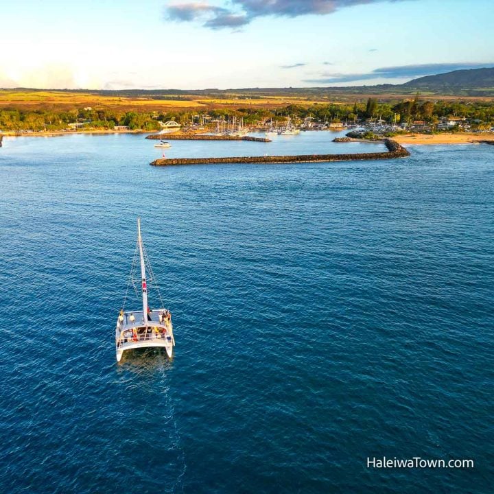 Places to Eat in Haleiwa & North Shore Oahu, Hawaii - Haleiwa Town