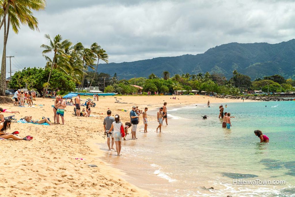 Haleiwa Beach Park (What to See, Do & Know) - Haleiwa Town