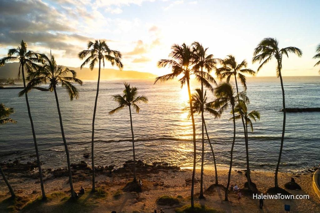 Live Pipeline Surf Cam & Other North Shore Webcams - Haleiwa Town