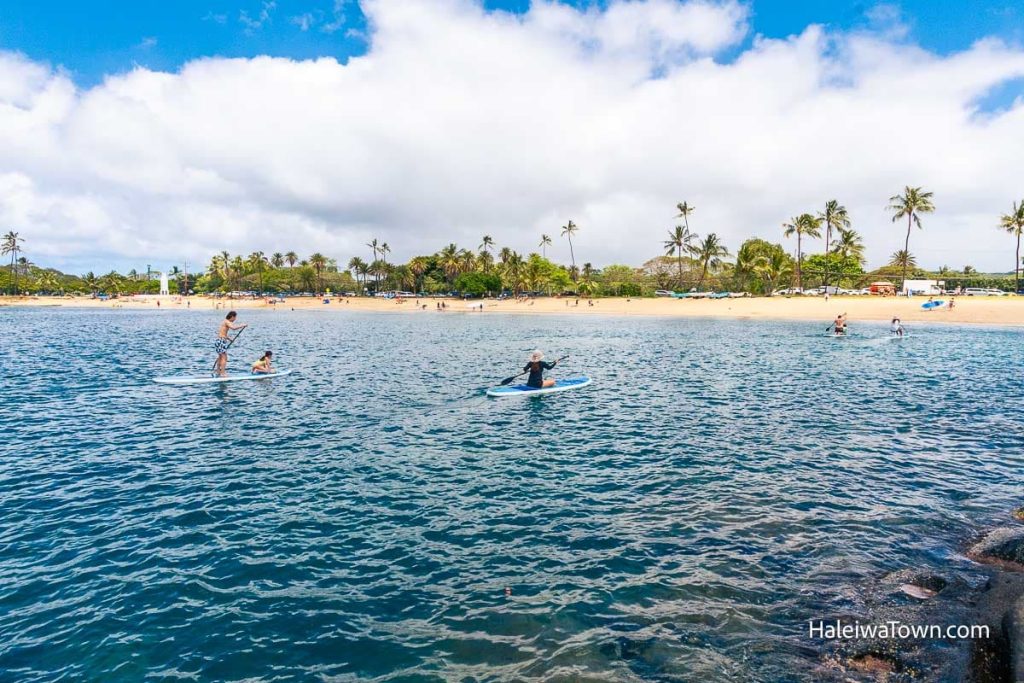 Haleiwa Beach Park (What to See, Do & Know) - Haleiwa Town