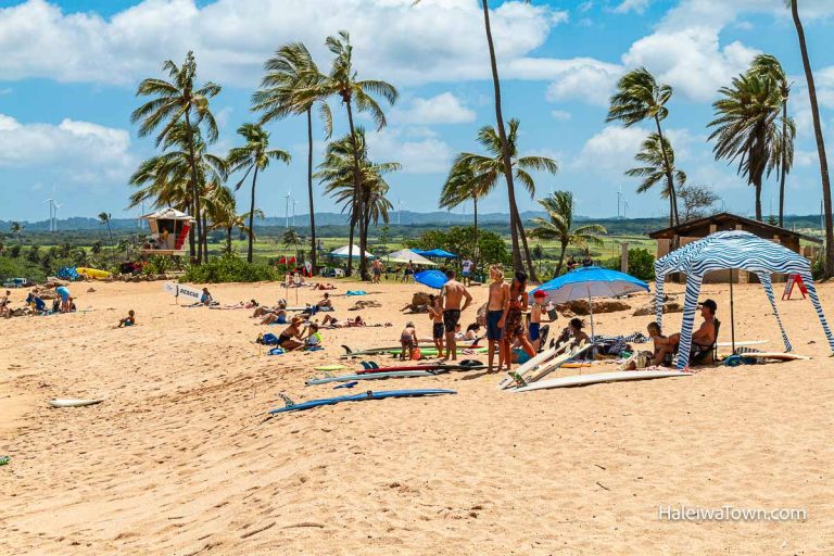 Haleiwa Ali’i Beach Park, Oahu (with Photos) - Haleiwa Town