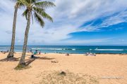 Haleiwa Ali’i Beach Park, Oahu (with Photos) - Haleiwa Town