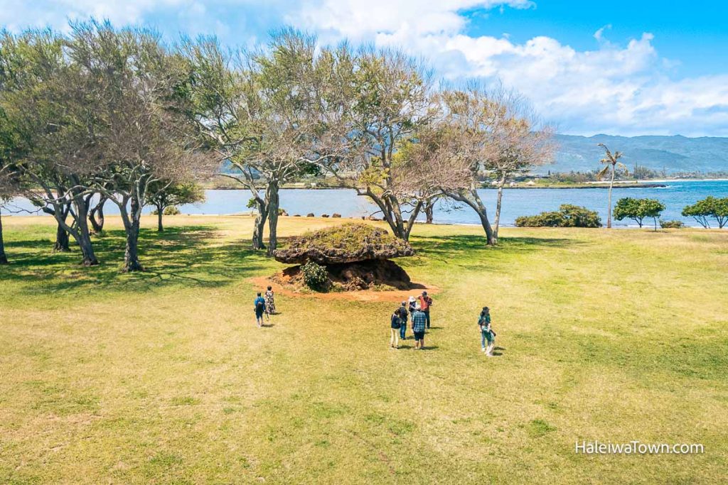 Kaiaka Bay Beach Park (Camping & Visitor Guide) - Haleiwa Town