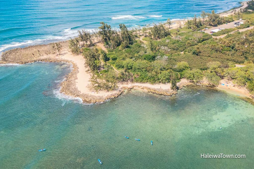 Pua'ena Point Beach Park, Oahu (Things to Do & What to Know) - Haleiwa Town