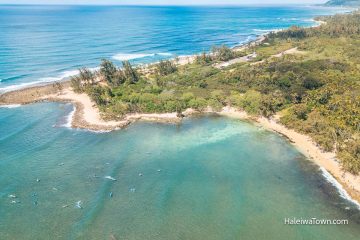 Pua'ena Point Beach Park, Oahu (Things to Do & What to Know) - Haleiwa Town