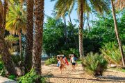 Pua'ena Point Beach Park, Oahu (Things to Do & What to Know) - Haleiwa Town