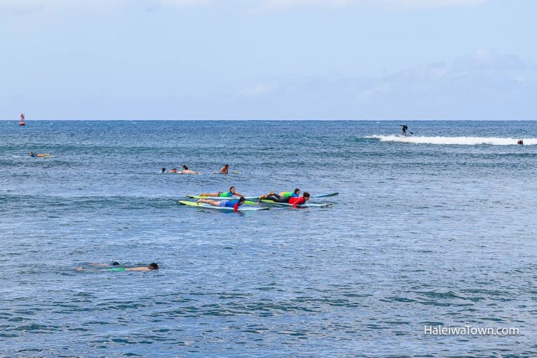 Pua'ena Point Beach Park, Oahu (Things to Do & What to Know) - Haleiwa Town