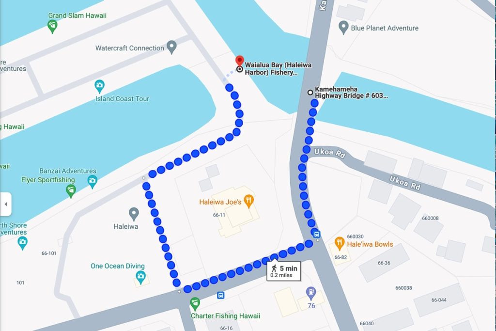 Iconic Haleiwa Rainbow Bridge on Oahu's North Shore, Hawaii - Haleiwa Town