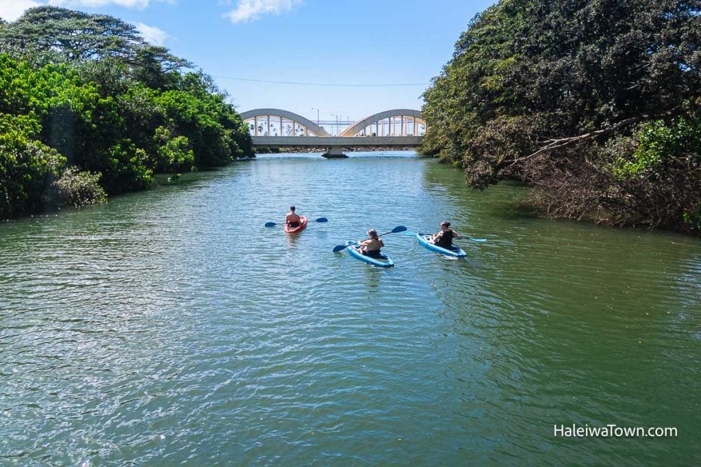 13 Things to Do North Shore Oahu (Local Picks!) - Haleiwa Town