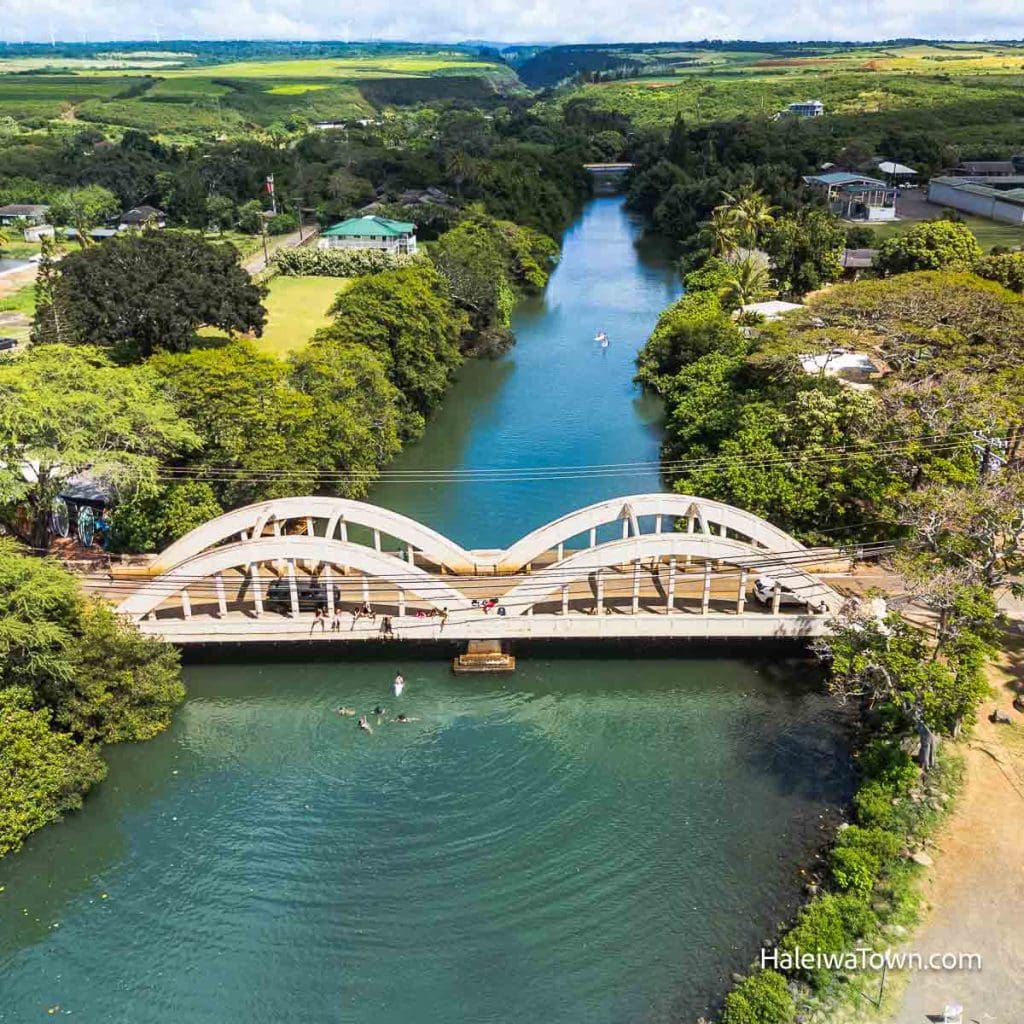 Whale Watching North Shore Oahu (Best Spots & Tours) - Haleiwa Town