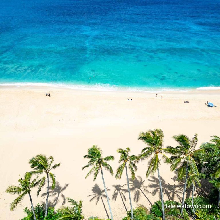 Best Beaches on the North Shore Oahu (Swim, Surf & Kid-Friendly ...
