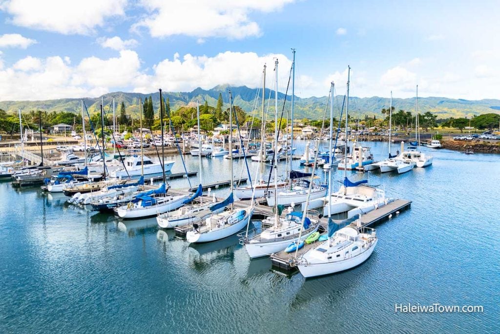Haleiwa Harbor (Activities & Visitor Guide) - Haleiwa Town