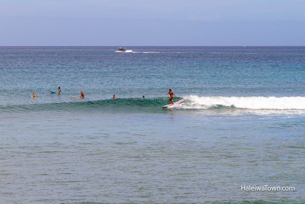 Surfing North Shore Oahu (What to Know & Local Tips) - Haleiwa Town