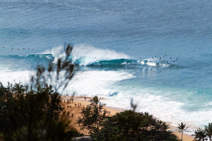 Surfing North Shore Oahu (What to Know & Local Tips) - Haleiwa Town
