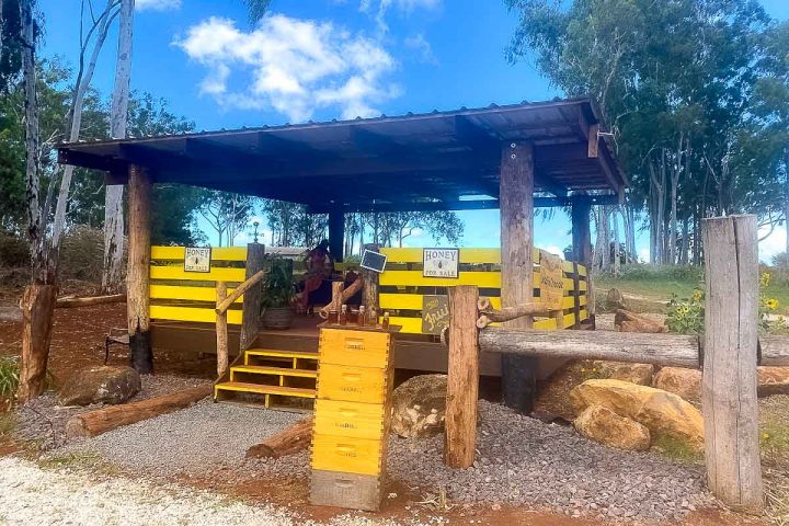 Haleiwa & North Shore Farmers Market Guide - Haleiwa Town