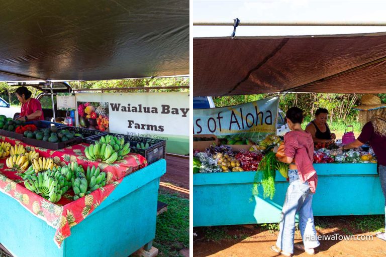 Haleiwa & North Shore Farmers Market Guide - Haleiwa Town
