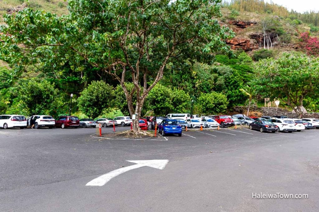 Guide to Waimea Valley, Oahu - Haleiwa Town