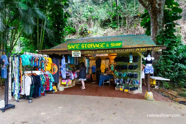 Waimea Falls Guide, Oahu (Hike, Swim, & Tips) - Haleiwa Town