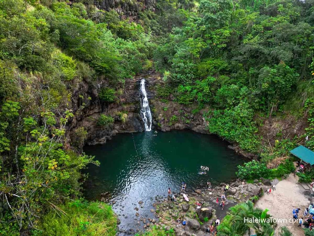 Waimea Falls Guide, Oahu (Hike, Swim, & Tips) - Haleiwa Town