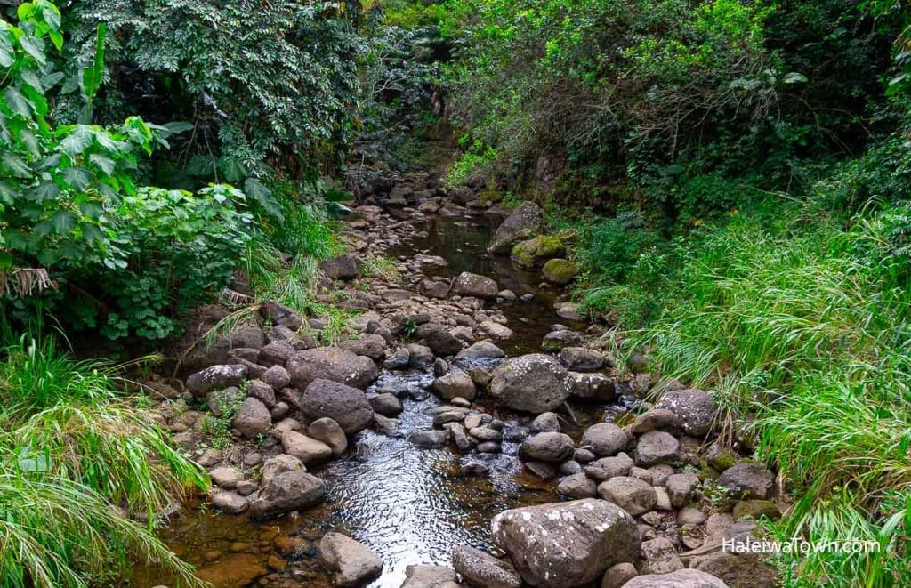 Waimea Falls Guide, Oahu (Hike, Swim, & Tips) - Haleiwa Town