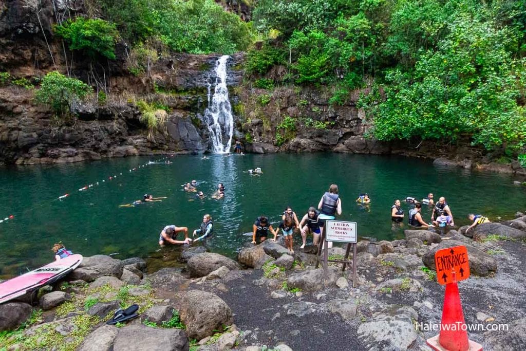 Waimea Falls Guide, Oahu (Hike, Swim, & Tips) - Haleiwa Town