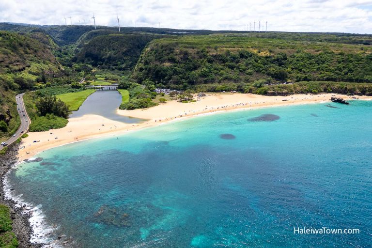 Waimea Bay Beach Park, Hawaii (Visitors Guide with Local Tips ...