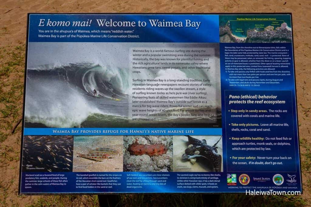 Waimea Bay Beach Park, Hawaii (Visitors Guide with Local Tips ...