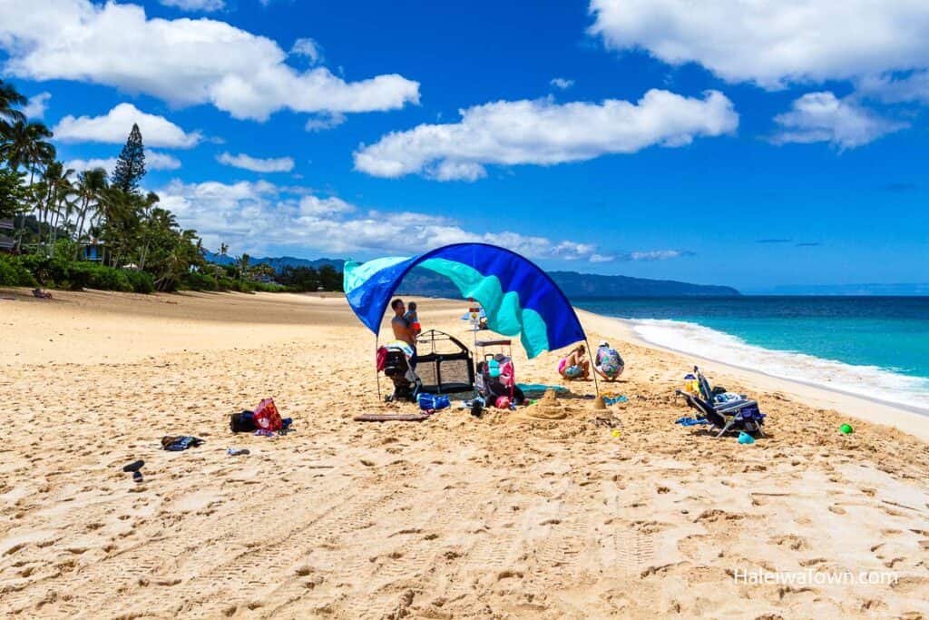 Ehukai Beach Park & Banzai Pipeline (What to Know) - Haleiwa Town